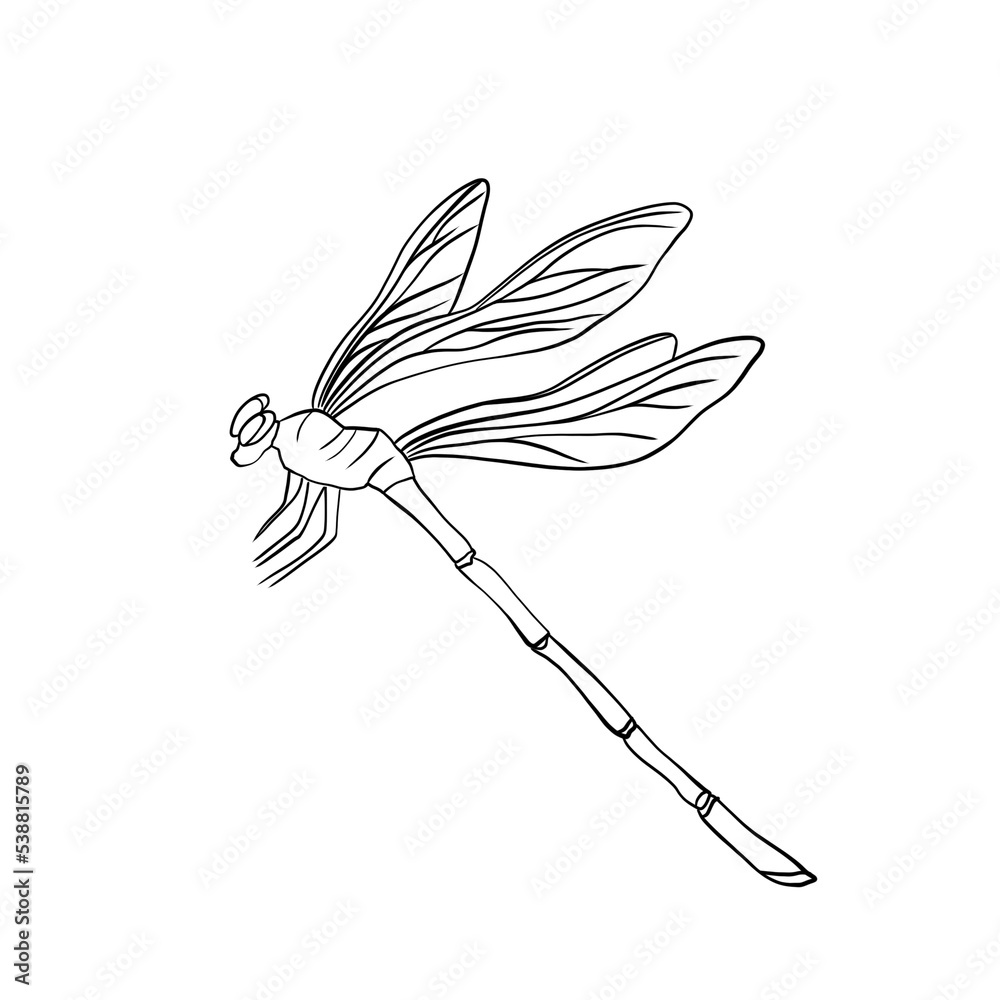 Dragon fly line art, tattoo design, simple line drawing, digital ...