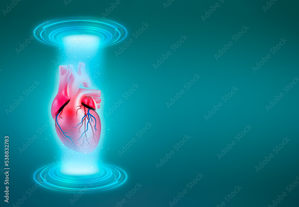 Hologram of a heart. VR, isolated human heart. cardiology and medical ...