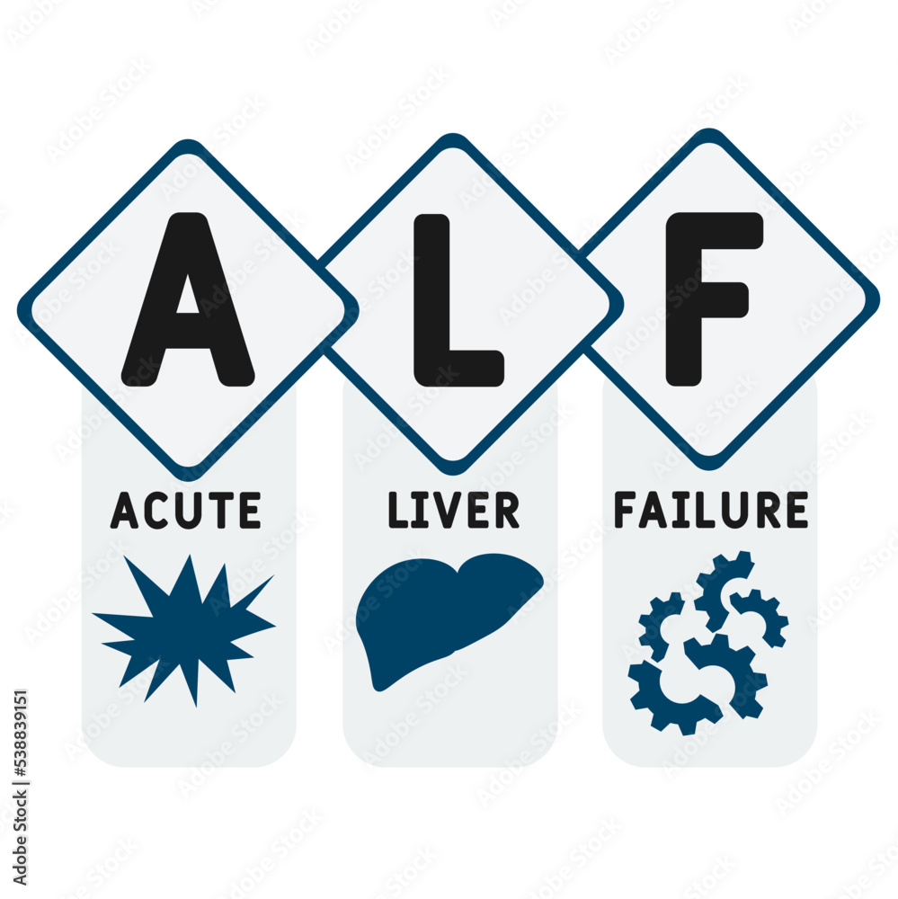 ALF - Acute Liver Failure acronym. business concept background. vector ...