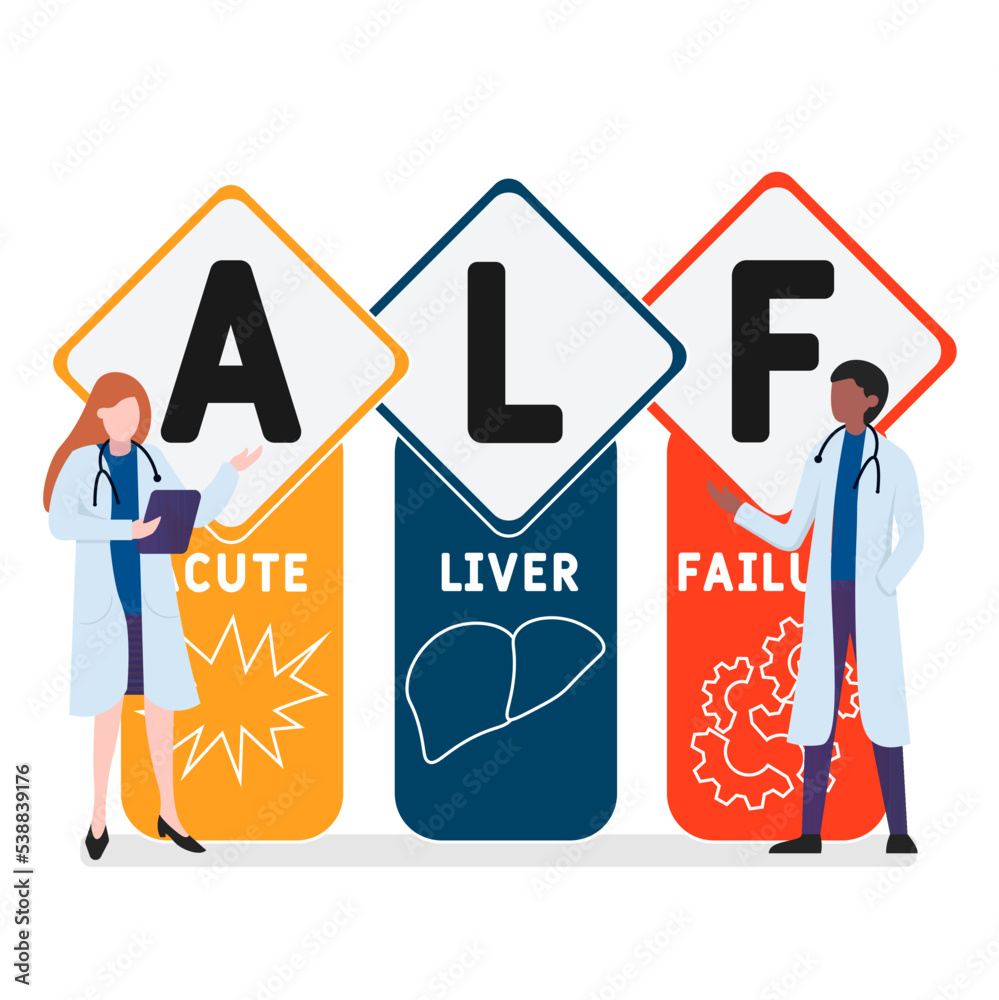 Vecteur Stock ALF - Acute Liver Failure acronym. business concept ...
