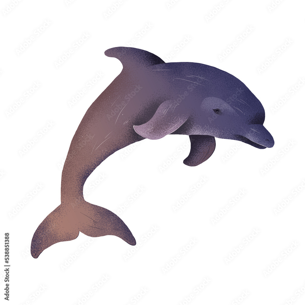 Dolphin Png Format With Transparent Background Stock Illustration ...