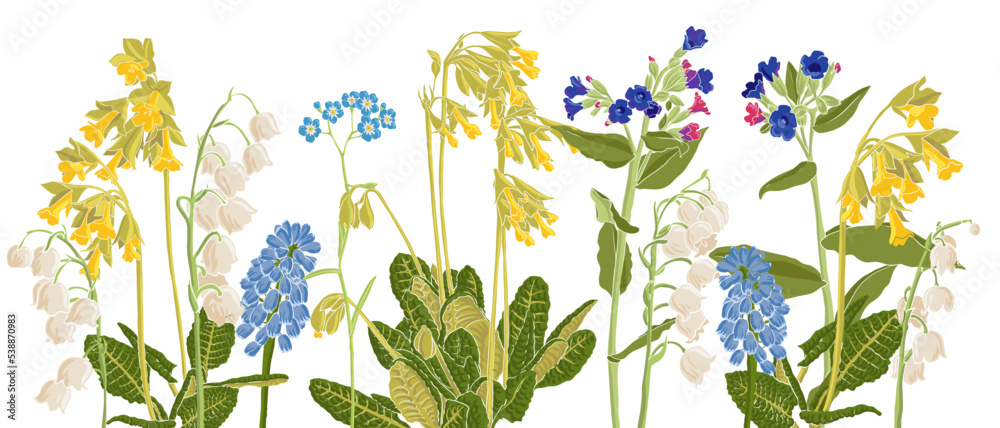 spring wild flowers, vector drawing wild plants at white background ...