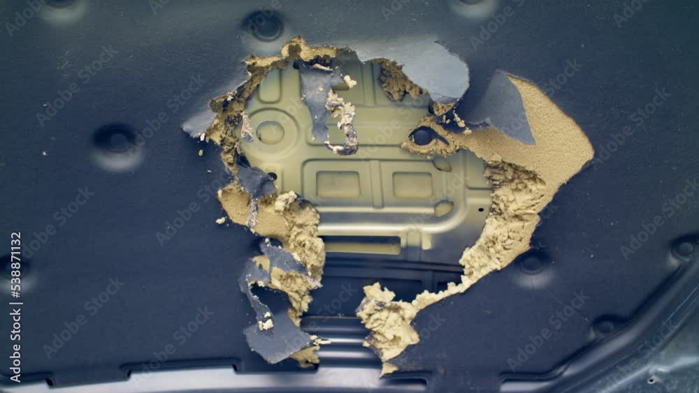 Rodents ruined the hood of the car. Pests and damage from rats. Damaged ...