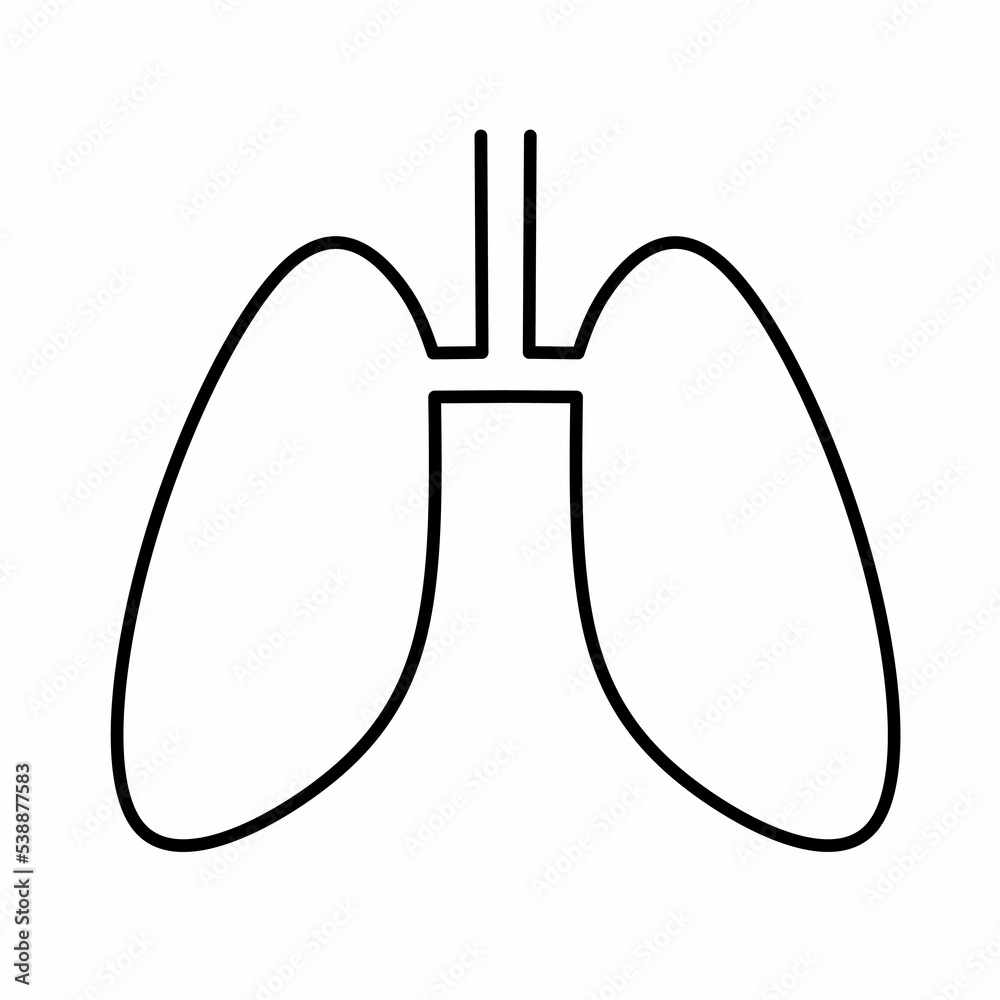 Vector illustration of respiratory tract anatomy line icon. Pictogram ...