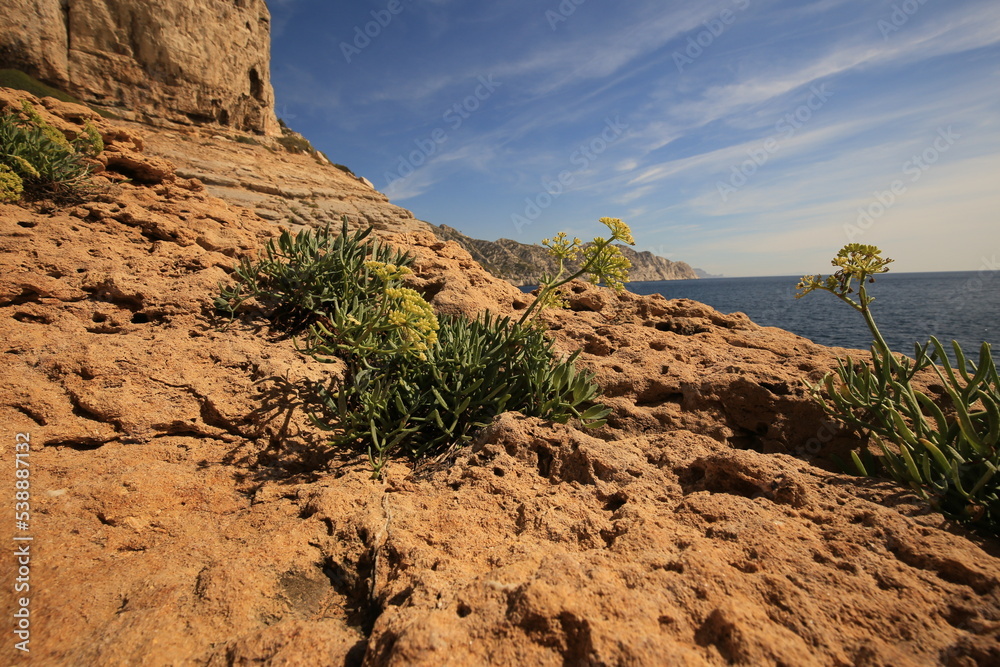 Les Calanques de Marseille Stock Photo | Adobe Stock