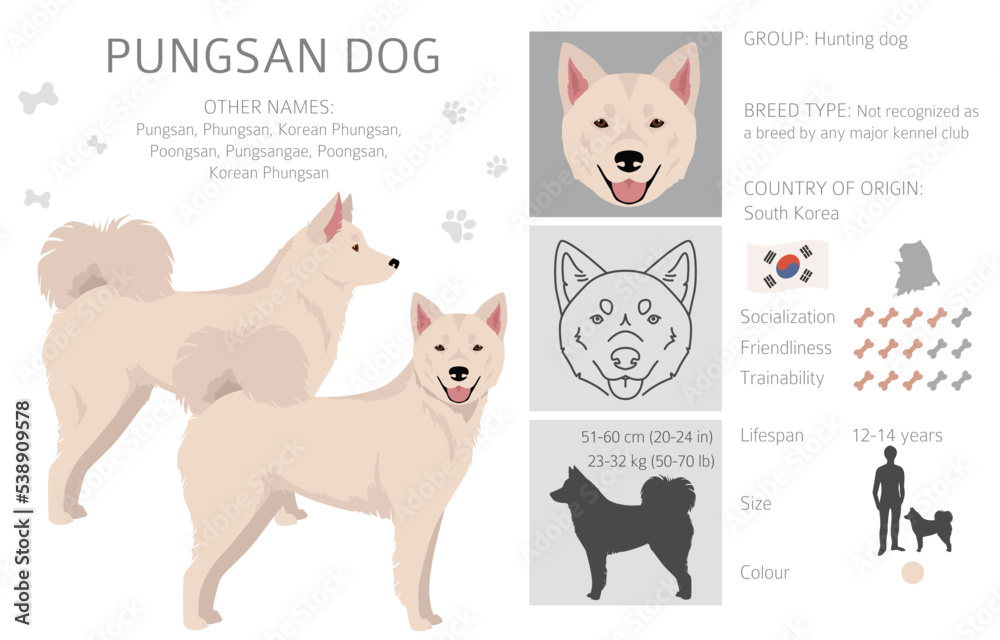 Pungsan dog clipart. All coat colors set. All dog breeds ...