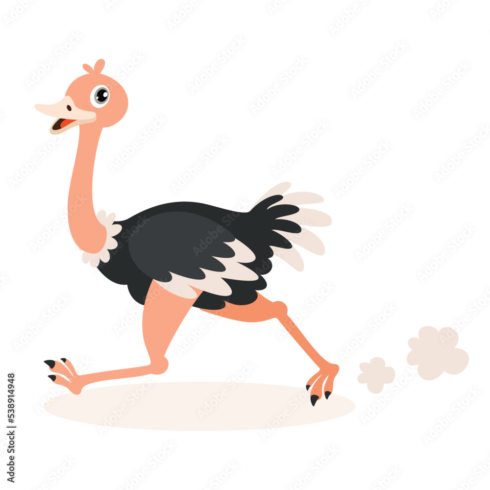 Cartoon Drawing Of An Ostrich Stock Vector | Adobe Stock