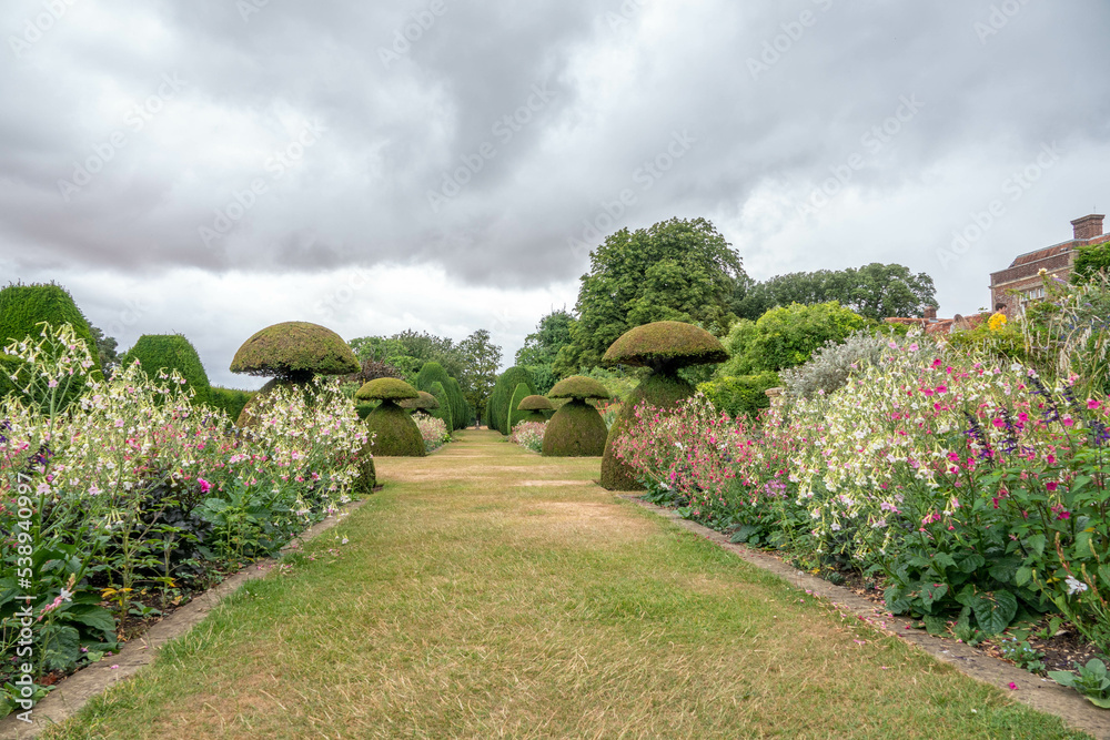 topiary trees and pretty borders with summer flowers in an english ...
