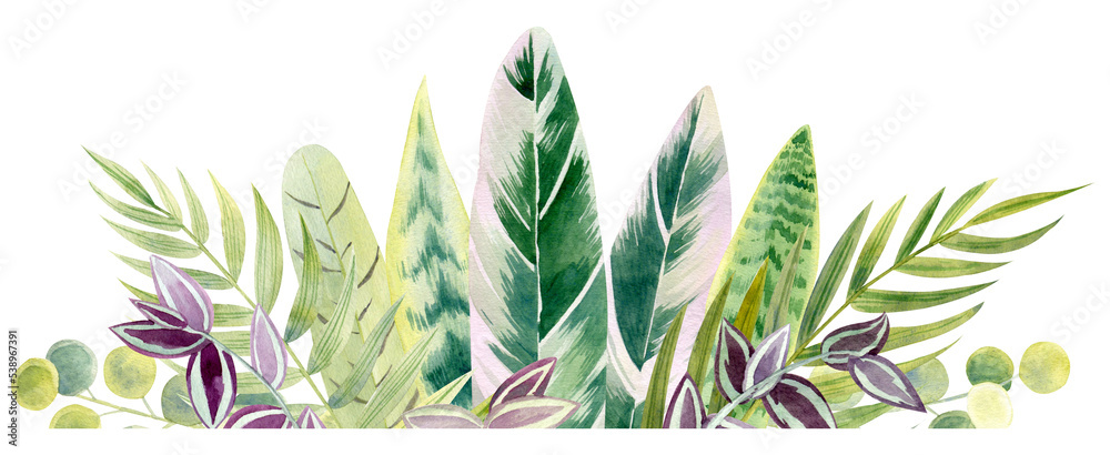 Floral border element with colorful houseplant leaves. Plant and leaves ...