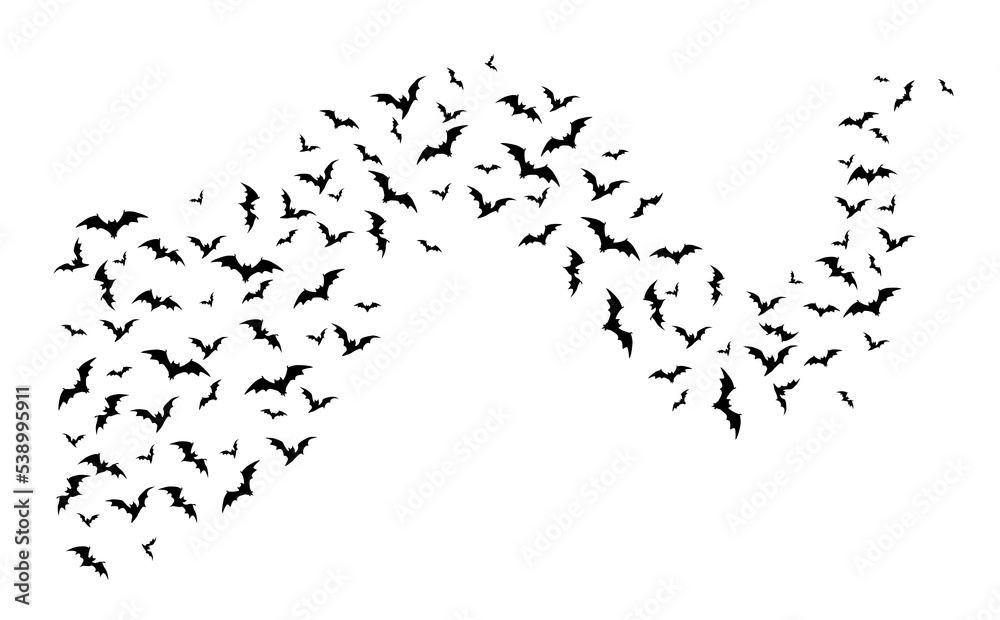 Flying halloween bats, curve wave fly on white background. Isolated ...