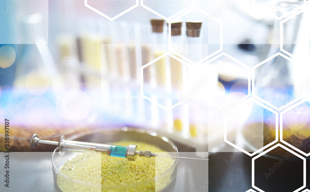 Research Analyzing Agricultural Grains And seeds In The Laboratory ...