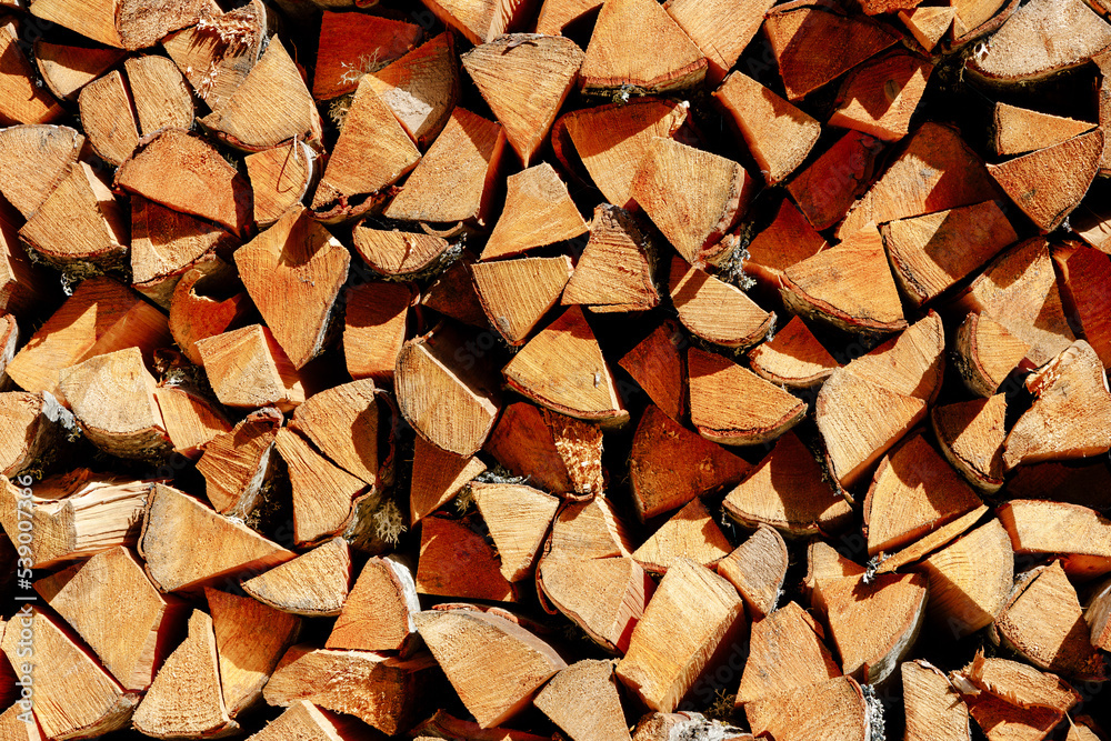 Stacked Logs Texture Natural Background Cross Section Of The Timber