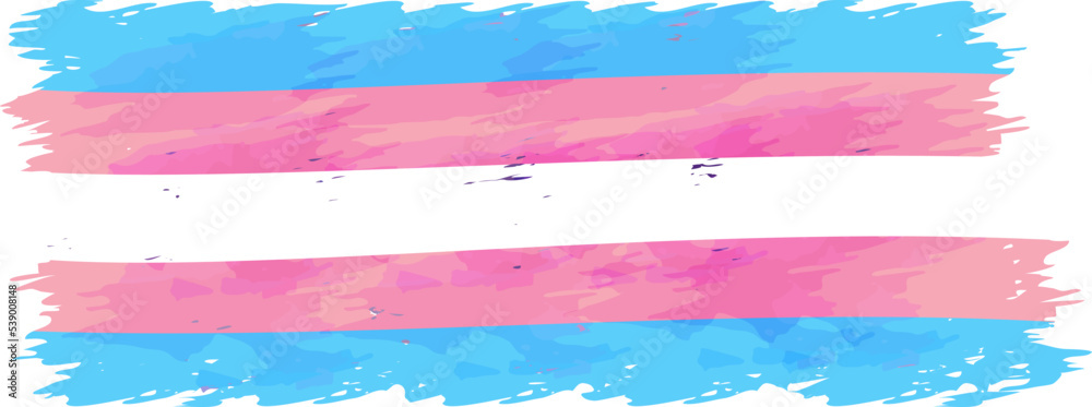 Transgender pride flag vector illustration. Brush stroke shape with ...