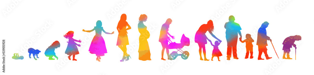 Editable vector colorful silhouettes of different stages of a woman's ...