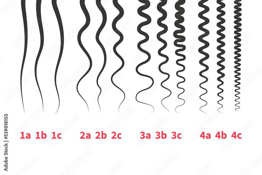 Detailed hair types chart set of strands growth patterns Stock Vector ... Detailed hair types chart set of strands growth patterns Stock Vector ...