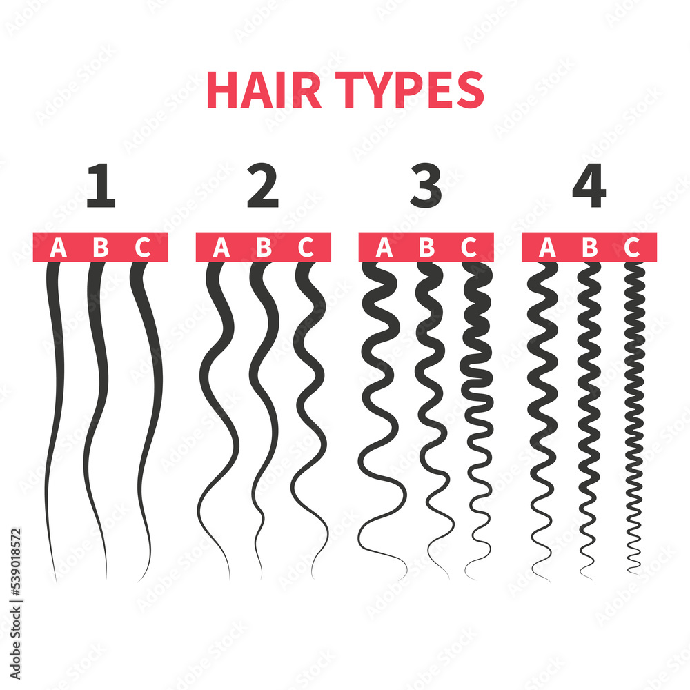 Detailed hair types chart set of strands growth patterns Stock Vector ...