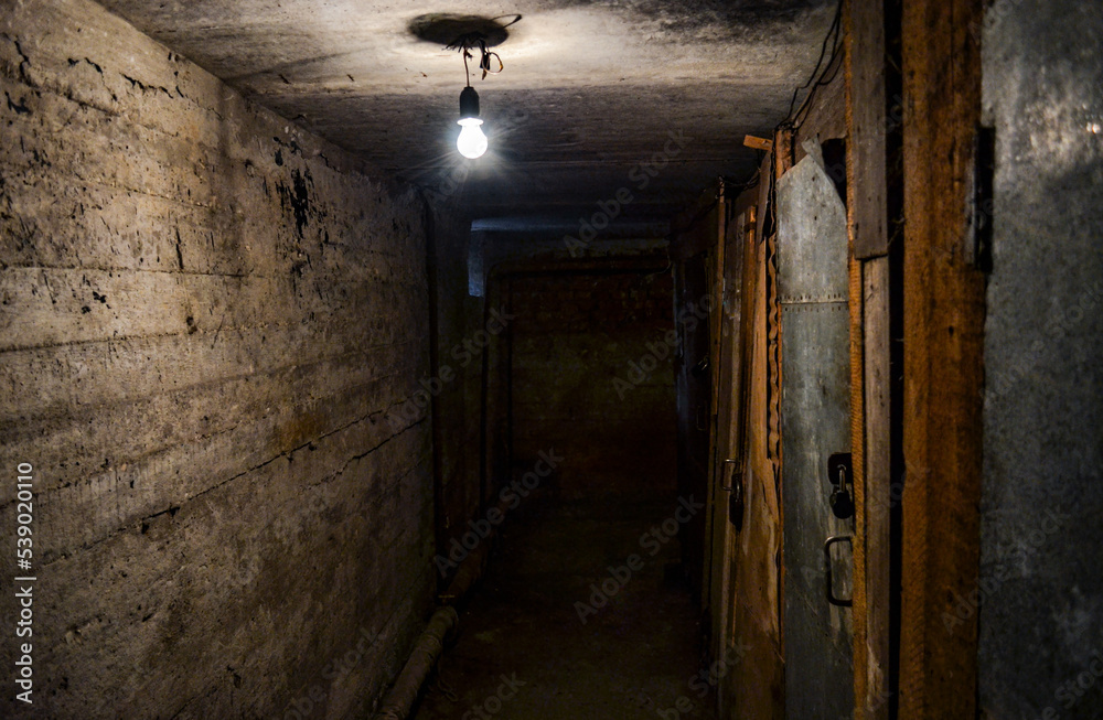 Dark Basement Lighting