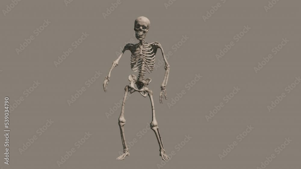 Looped animation of a dancing skeleton on a transparent background ...