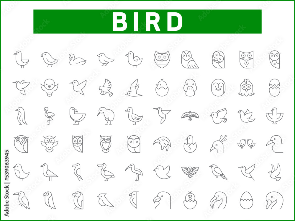 Simple Set of bird Related Vector Line Icons. Vector collection of owl ...
