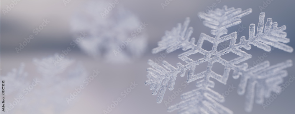 Snowflake Festive Background. Beautiful, Icy Winter Banner with copy ...