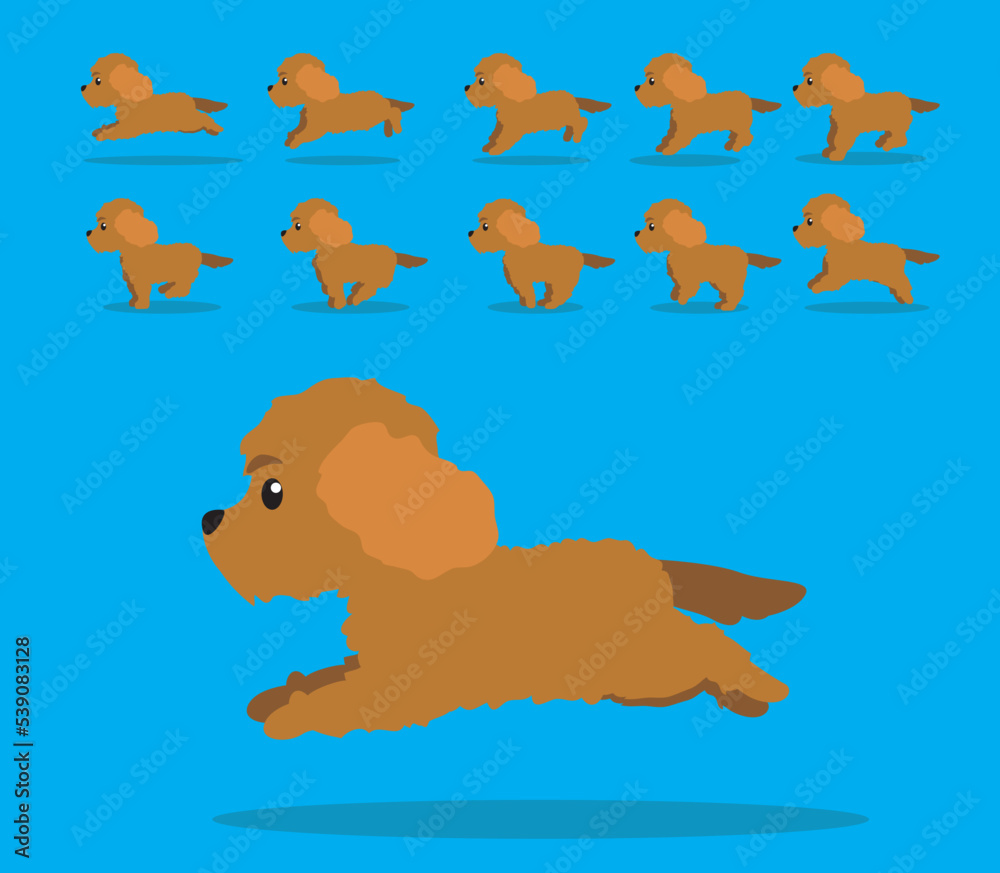 Animal Animation Sequence Dog Cockapoo Cartoon Vector Stock Vector ...