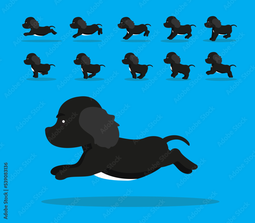Animal Animation Sequence Dog Sprocker Spaniel Cartoon Vector Stock ...