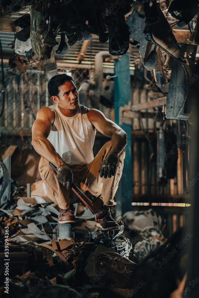 professional mechanic man person portrait concept, male inspection ...