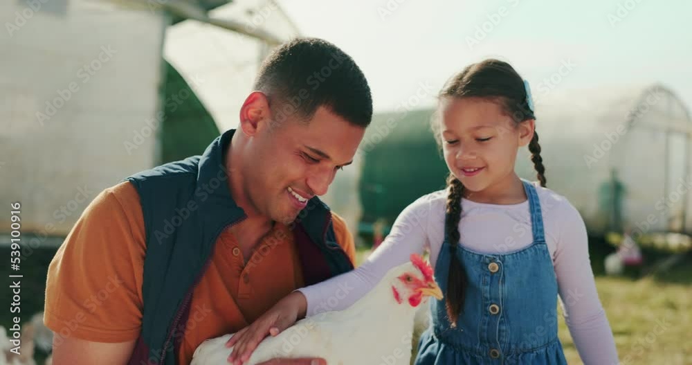 Farm, child and father talking with a chicken, learning about ...