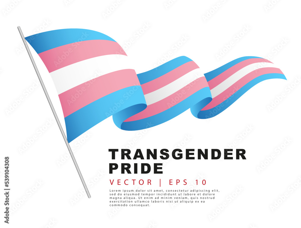The transgender pride flag is hanging on a flagpole and fluttering in ...