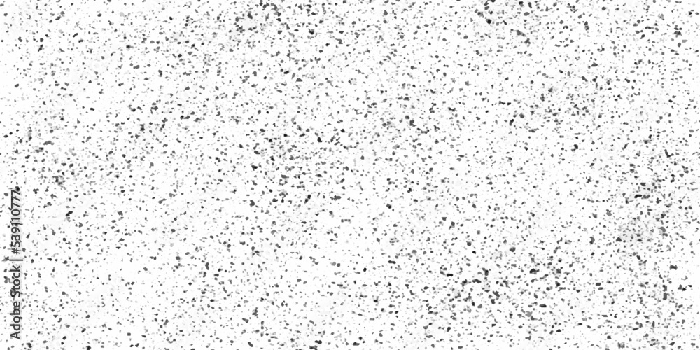 Abstract black and white speckled texture, grunge grainy black and white background with ...