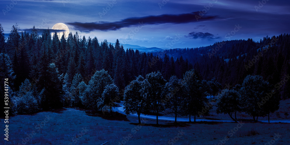 trees on the hill by the road at night. countryside scenery with grassy ...