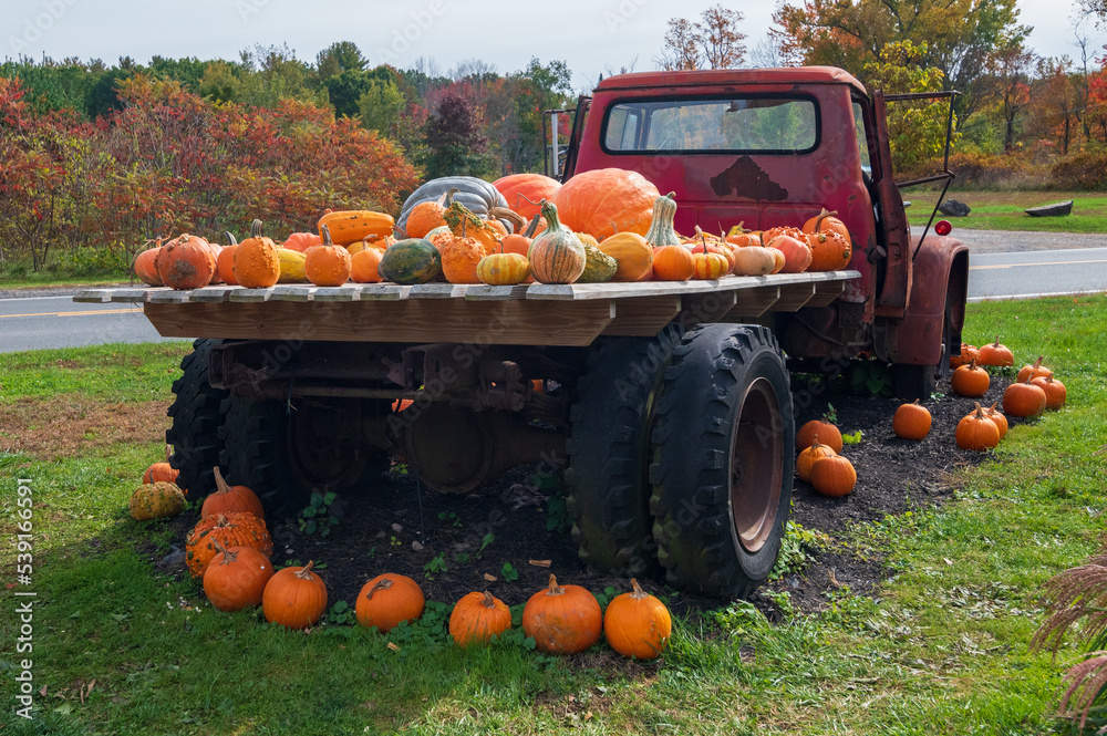 Pumpkins on display on an old red flatbed pickup truck. Stock Photo ...