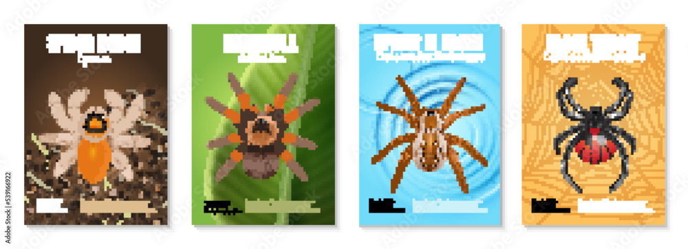 Four Vertical Realistic Spiders Poster Set Stock Vector | Adobe Stock