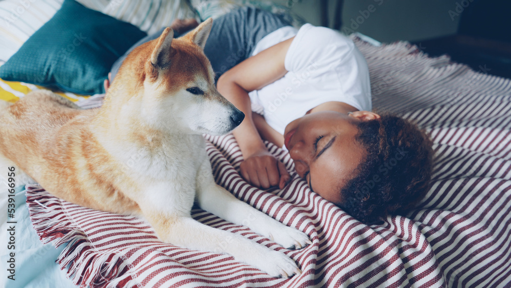 Charming African American lady is sleeping on wooden bed with modern ...