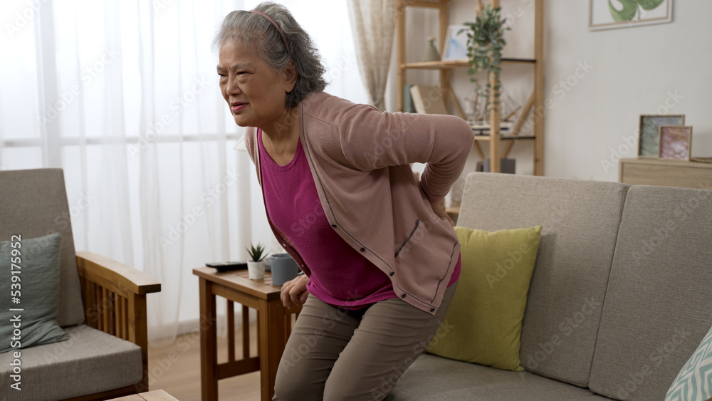 Asian grandma suffering chronic backache is dropping down in the couch ...
