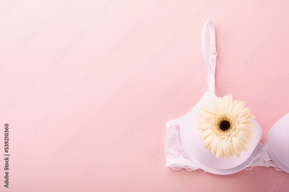 Breast Cancer Awareness Ribbon. White and red bra, gerberas with pink ...