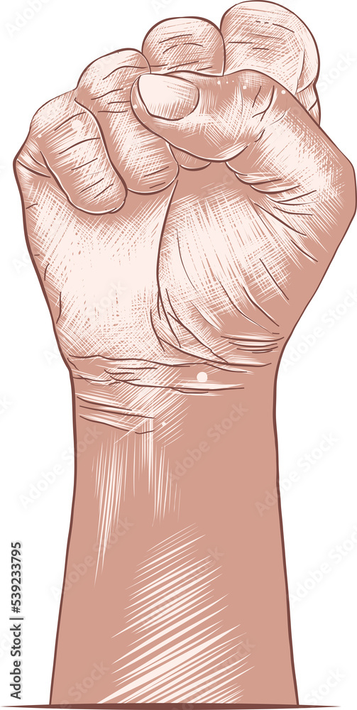 PNG engraved style illustration for posters, decoration, logo and print ...