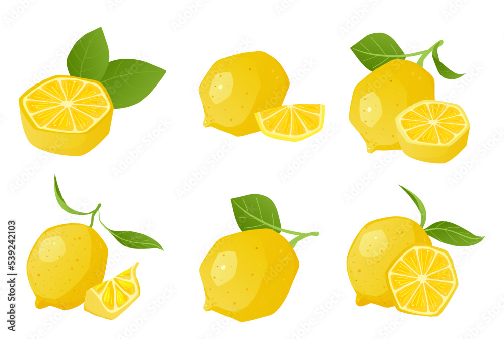 Cartoon Lemon compositions. Vector illustration set collection Stock ...