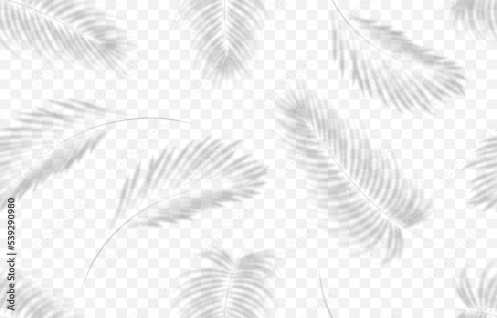 Seamless pattern of realistic transparent shadows tropical leaves ...
