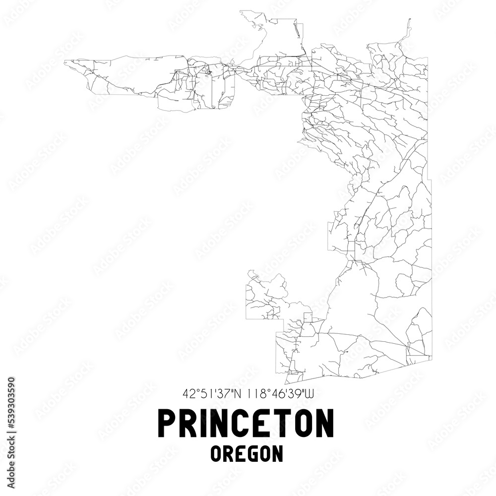 Princeton Oregon. US street map with black and white lines. ilustração ...