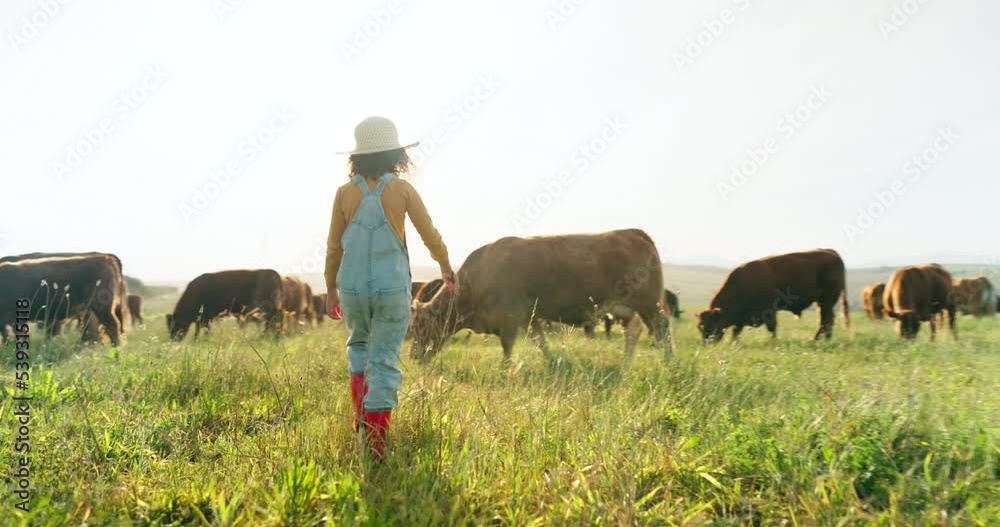 Video „Family, farming and countryside farmer with girl child pointing ...
