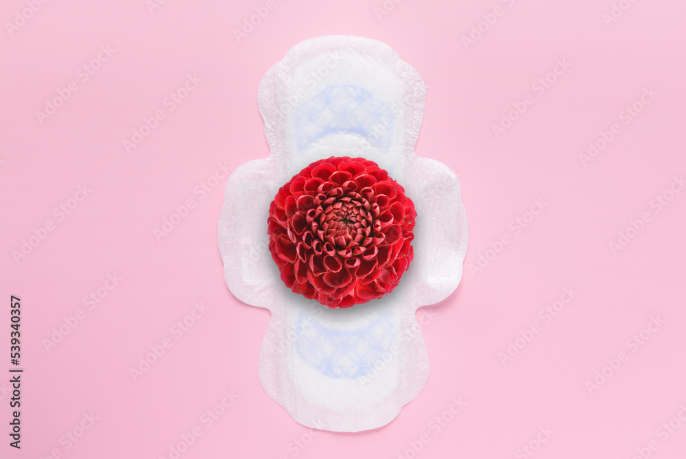 Menstrual pad with red flower on pink background Stock Photo | Adobe Stock