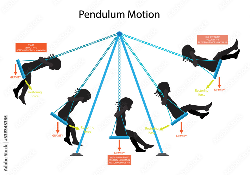 illustration of physics, Pendulum Motion, Period of a Pendulum, Simple harmonic motion, pendulum ...