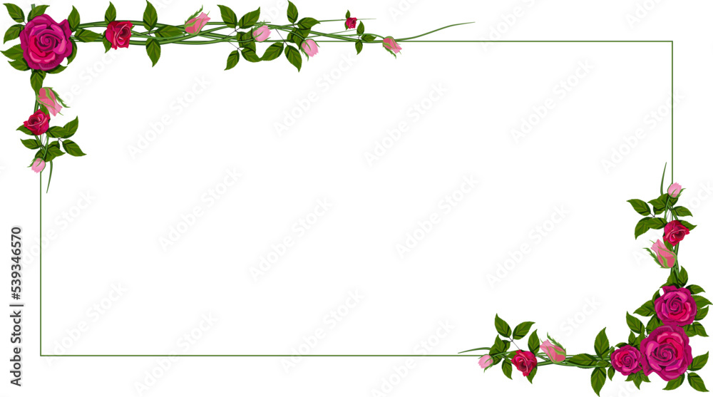 Red rose flower frame isolated. Vector illustration Stock Vector ...