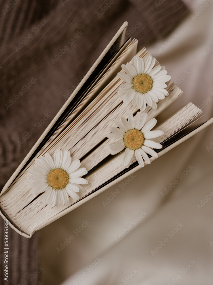 Aesthetic book wallpaper with daisies Stock Photo | Adobe Stock