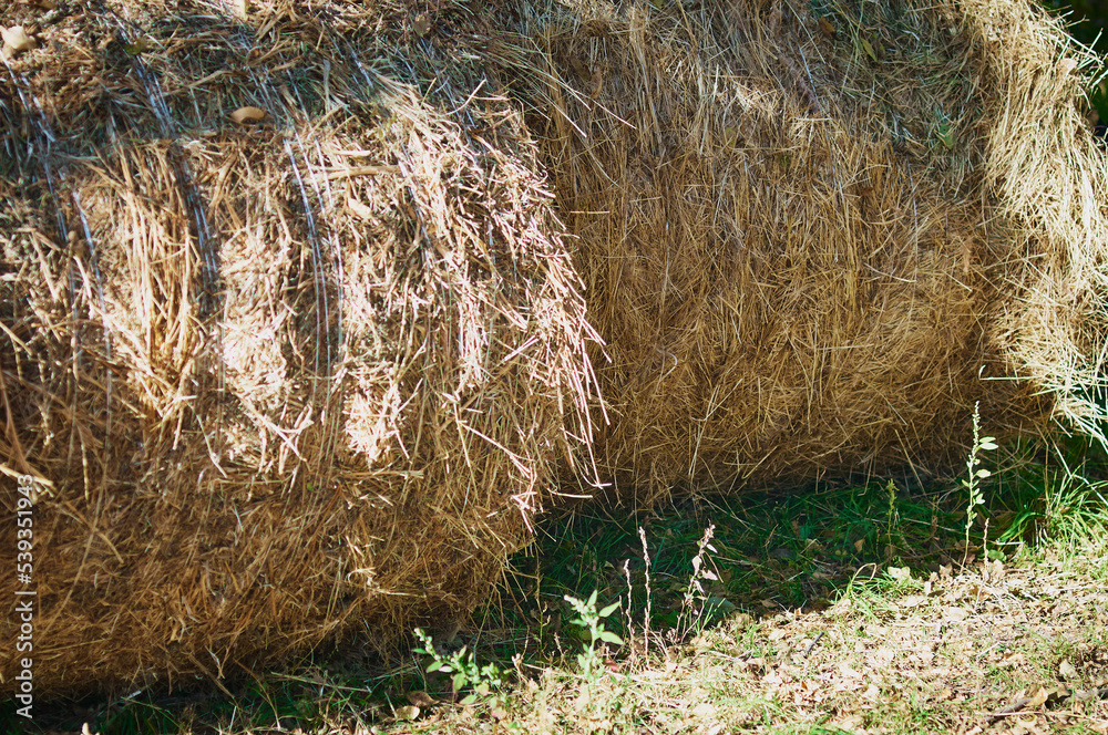 Rolls of hay. Preparation of food for herbivores. The circus has ...