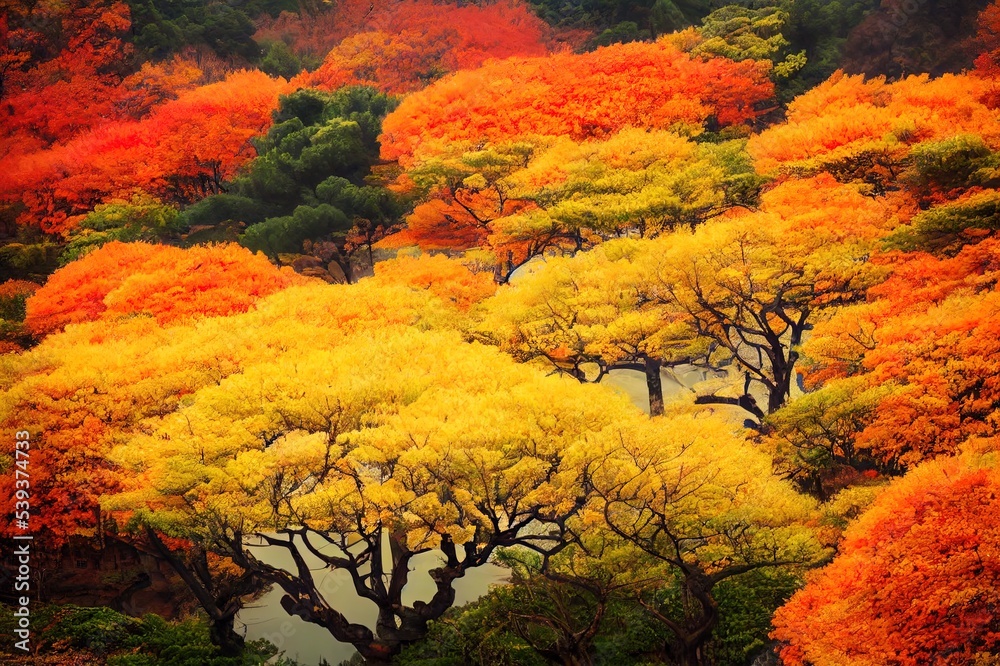 JeJu Island in autumn, winter, spring, summer. Beautiful different ...