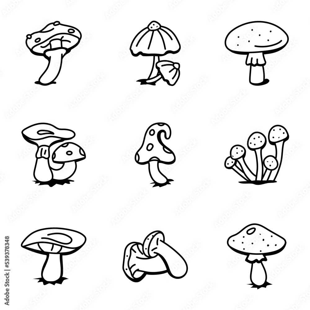 Set of Fungus Types Hand Drawn Icons Stock Vector | Adobe Stock