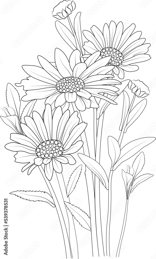 Hand drawn daisy flower bouquet vector sketch illustration engraved ink ...