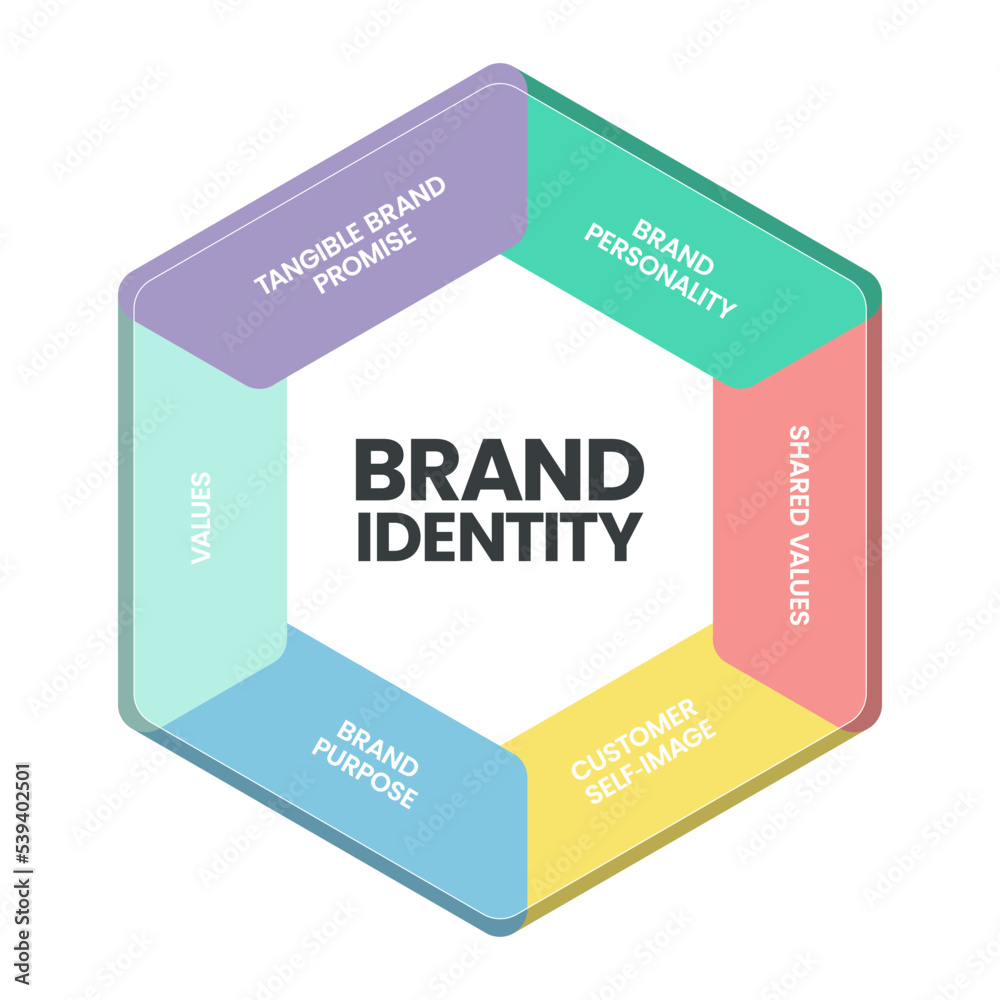 Brand identity infographic vector is digital marketing concept in 6 ...